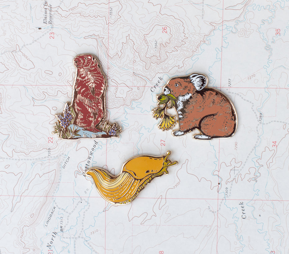 Nature-Inspired Enamel Pins – Final Switchback by Katie Jeanne Reim