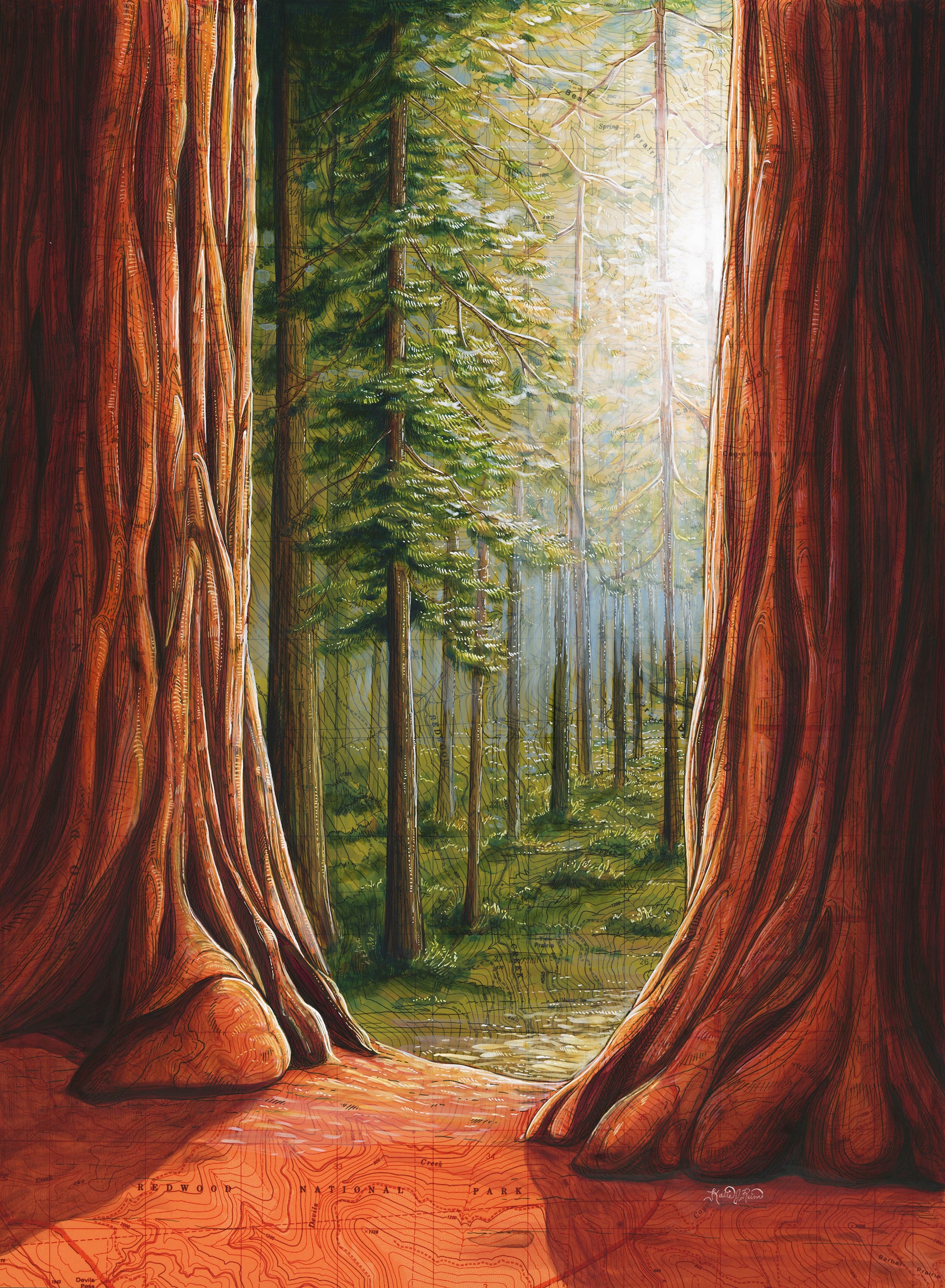Redwood National Park Print – Final Switchback by Katie Jeanne Reim